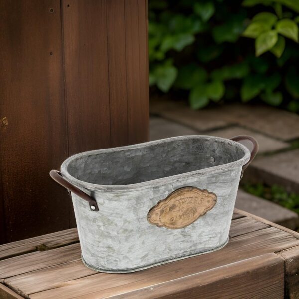 Galvanized Metal Bucket Planter for Garden - House Plants Expert