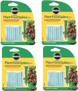 Miracle-Gro Plant Food Spikes (4 Pack) - House Plants Expert