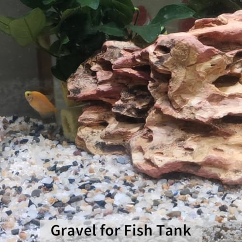 Natural Color Pea Gravel Pebbles Decor - House Plants Expert